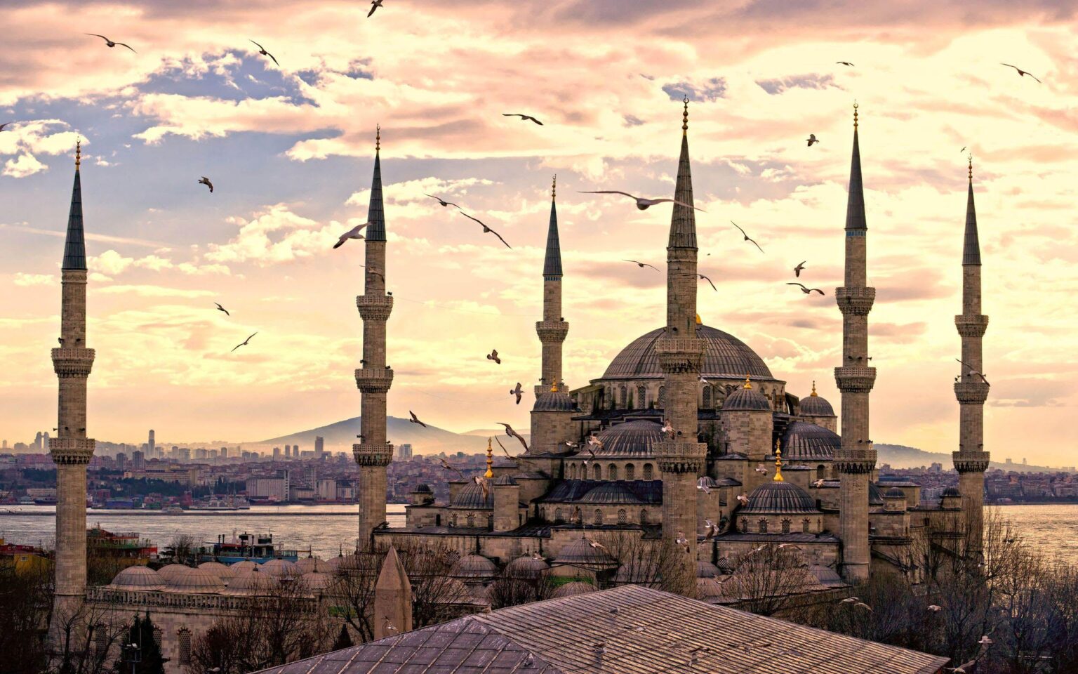Turkey 2026 – Future Synergy